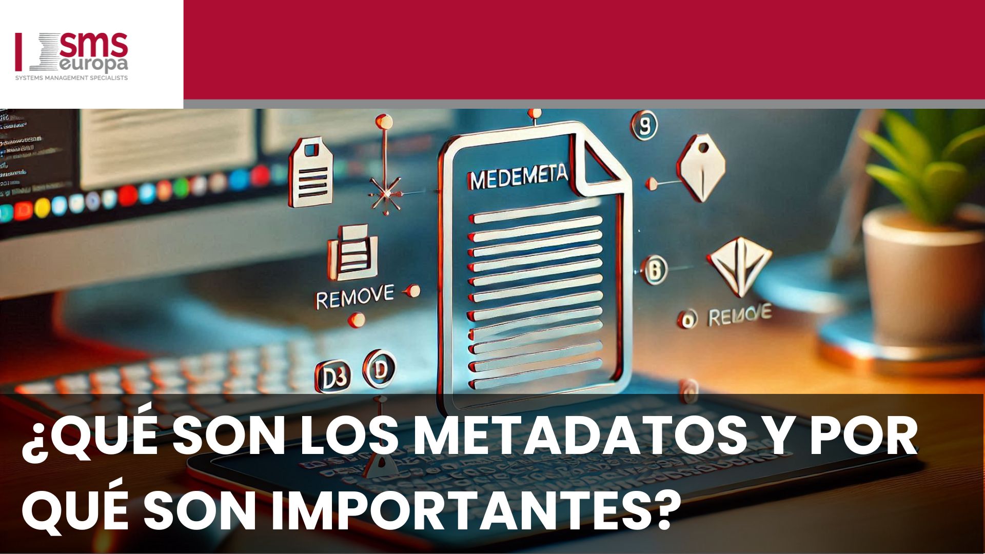 ¿Qué son los metadatos y por qué son importantes? - SMS Europa